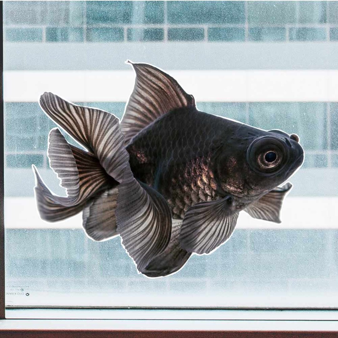 Black Goldfish - Full Color Vinyl Decal OR Static Window Cling - Etsy