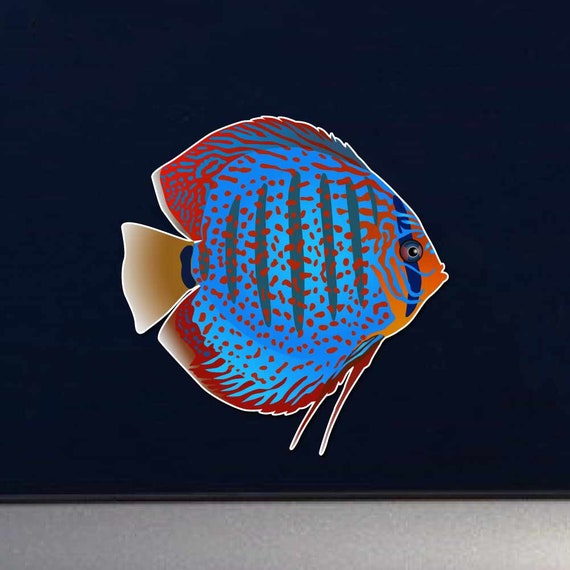 Blue Discus Fish