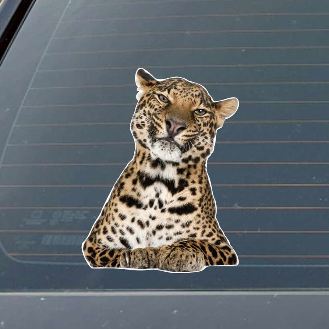 Smug Leopard - Indoor/outdoor Vinyl Decal - Etsy