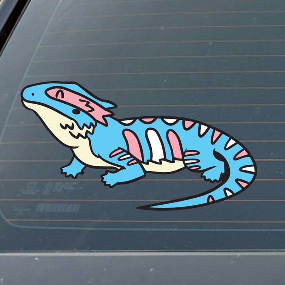 Transgender Bearded Dragon Lizard Hidden LGBTQ Flag Indoor - Etsy