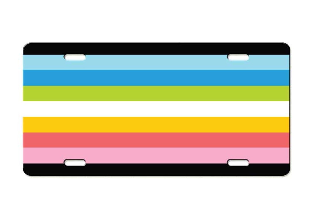 Queer Pride Flag LGBTQIA Vanity / License Plate Made in the USA - Etsy