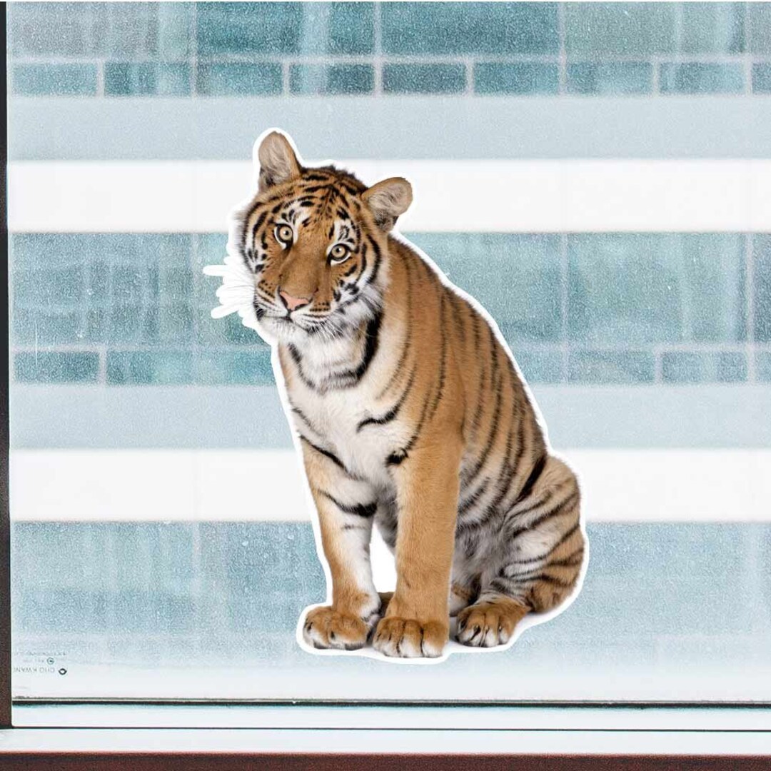 Curious Tiger - Full Color Static Window Cling - Etsy