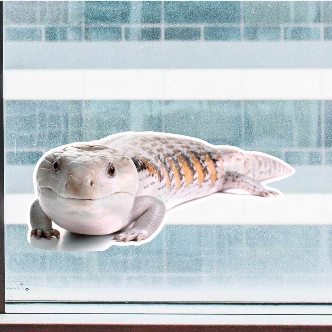 Blue Tongue Skink Loaf - Full Color Static Window Cling - Etsy