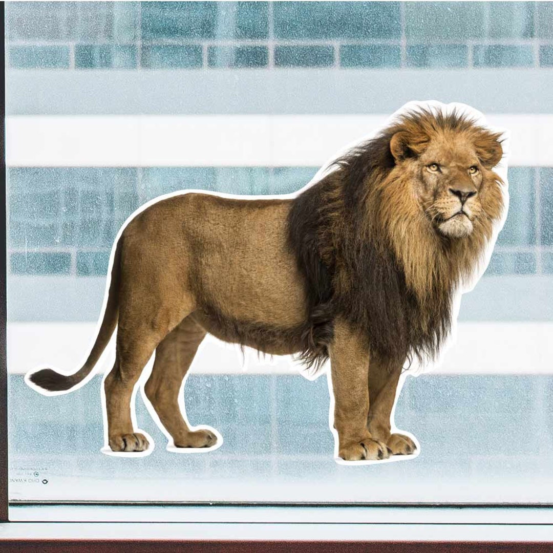 Male African Lion - Full Color Static Window Cling - Etsy