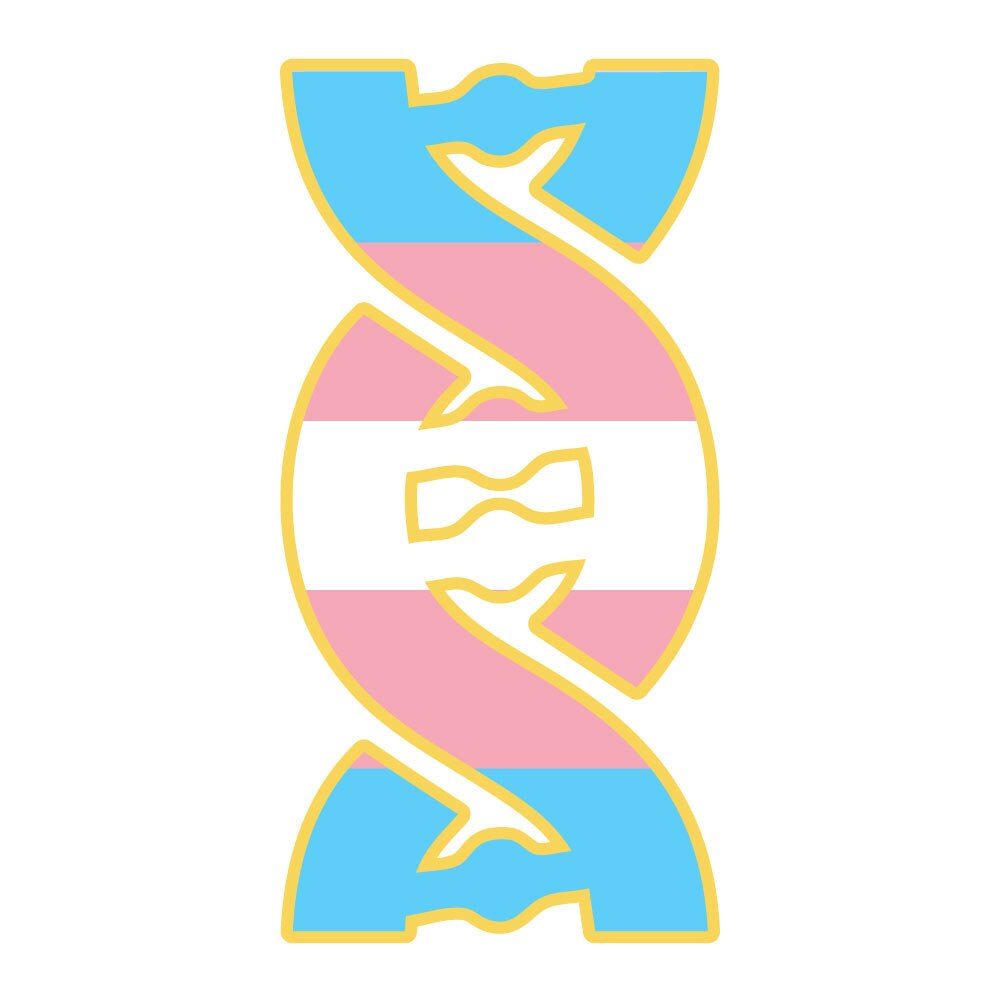 Transgender Pride DNA Helix - LGBT Pride, Born This Way - Indoor ...