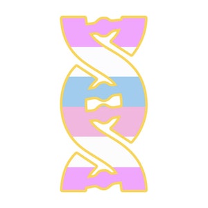 Bigender Pride DNA Helix - LGBT Pride, Born This Way - Indoor Outdoor ...