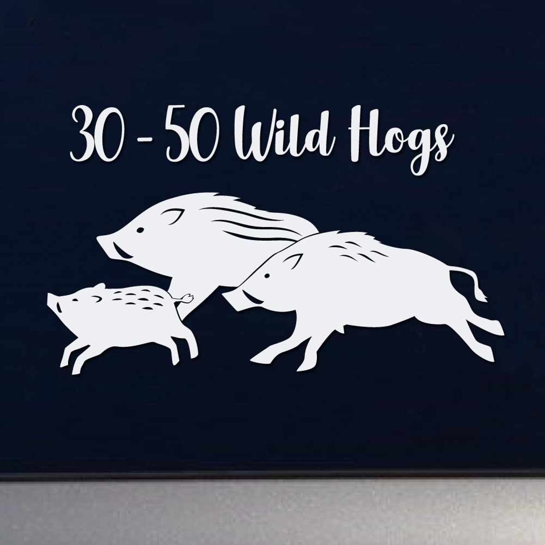 30 to 50 Wild Boars Meme Indoor Outdoor Vinyl Decal - Multiple Colors ...