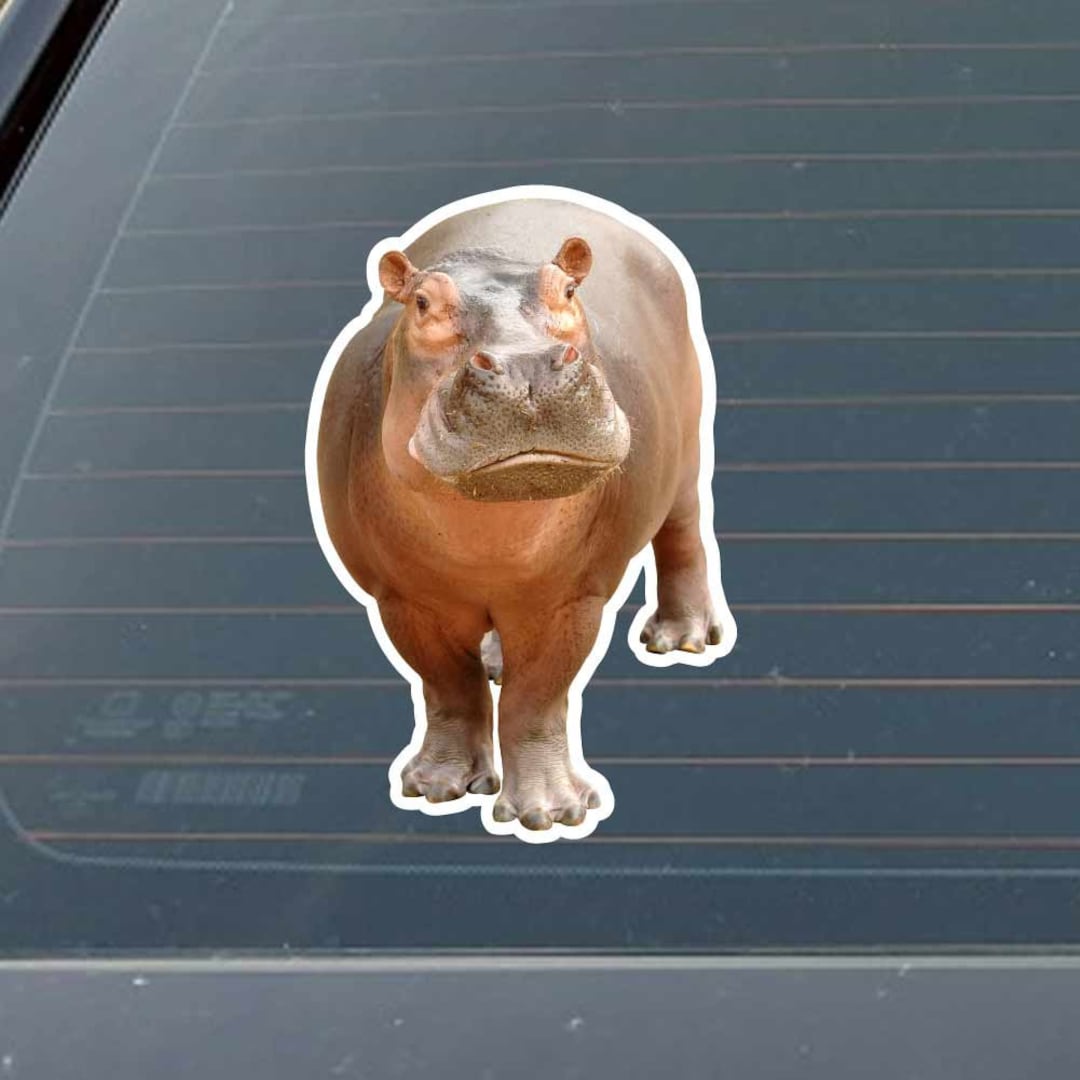 Curious Hippo - Indoor/outdoor Vinyl Decal OR Window Cling, Multiple ...
