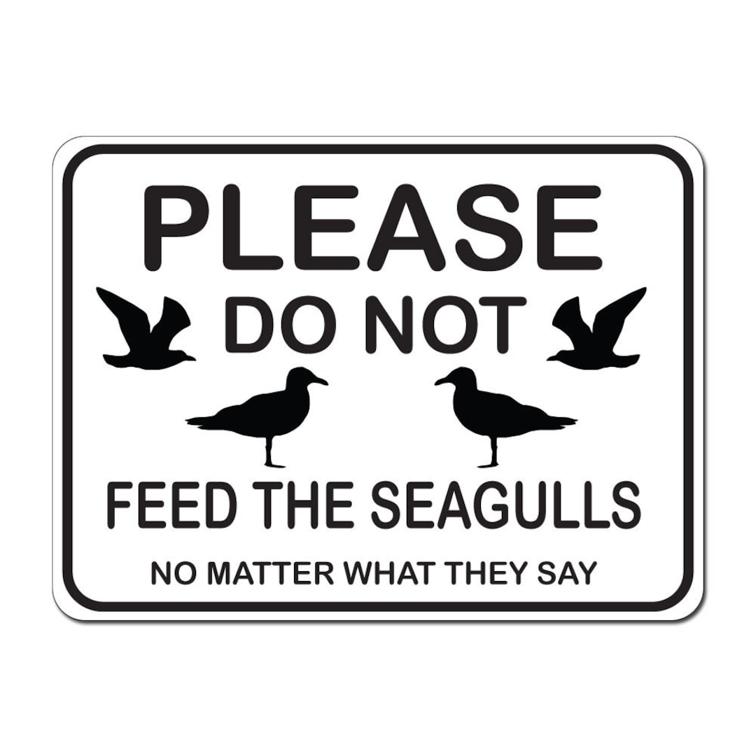 Please Do Not Feed the Seagulls No Matter What They Say -12"x9" Caution ...