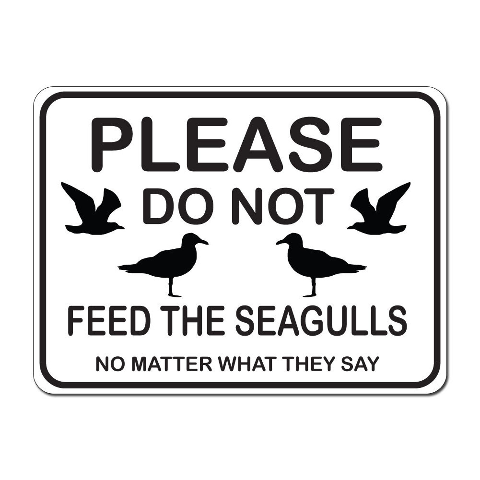 Please Do Not Feed the Seagulls No Matter What They Say | Etsy