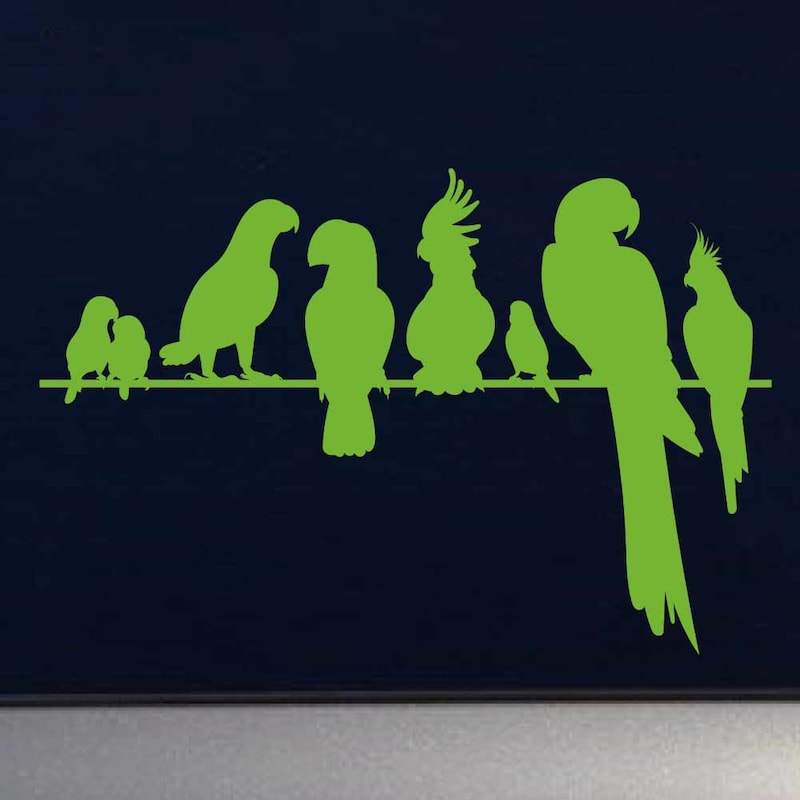 Parrot Decal - Etsy