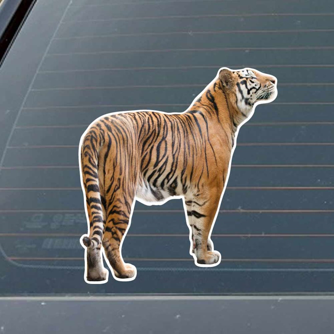 Handsome Bengal Tiger - Indoor/outdoor Vinyl Decal OR Window Cling ...