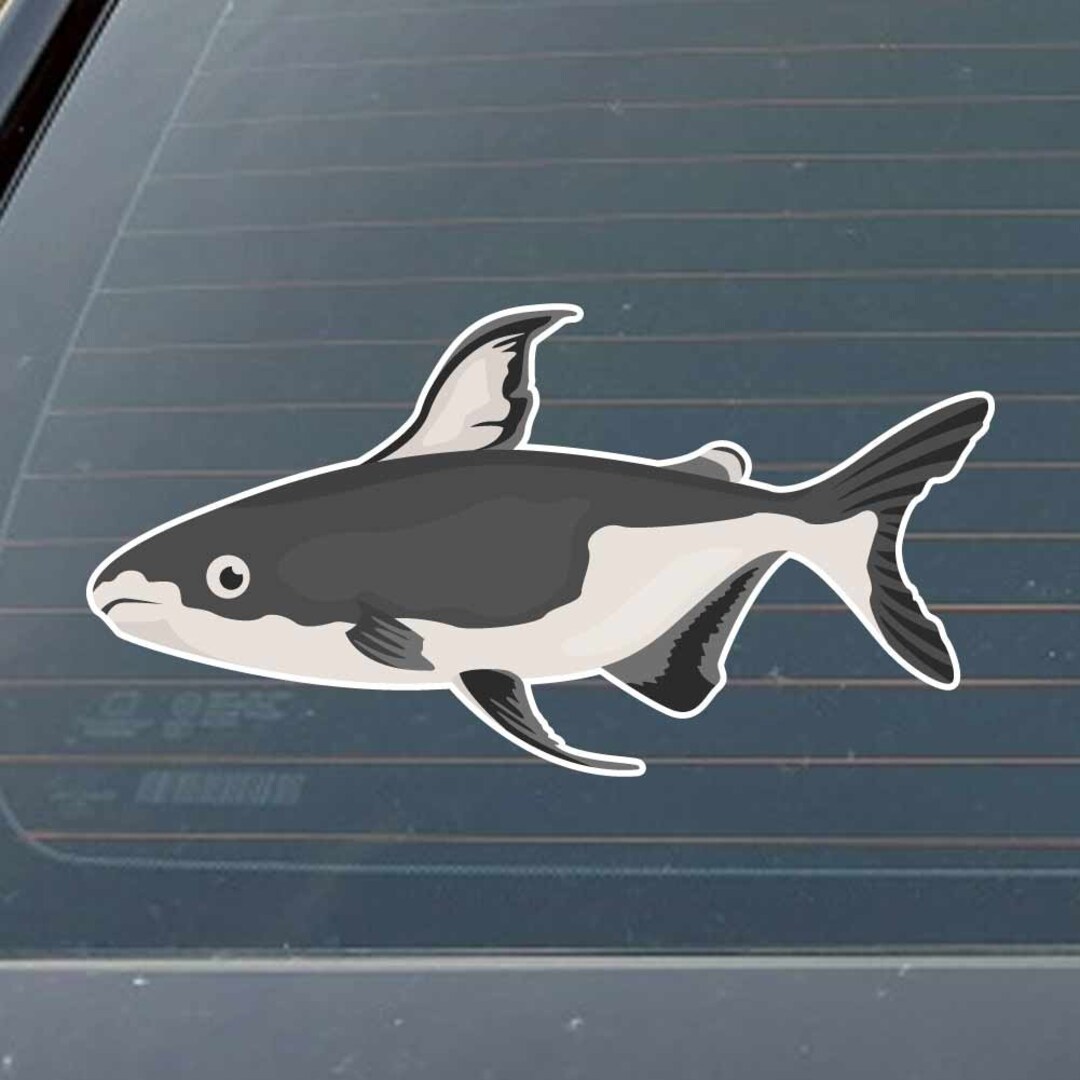 Iridecent Shark Catfish Aquarium Fish - Indoor Outdoor Vinyl Decal - Etsy
