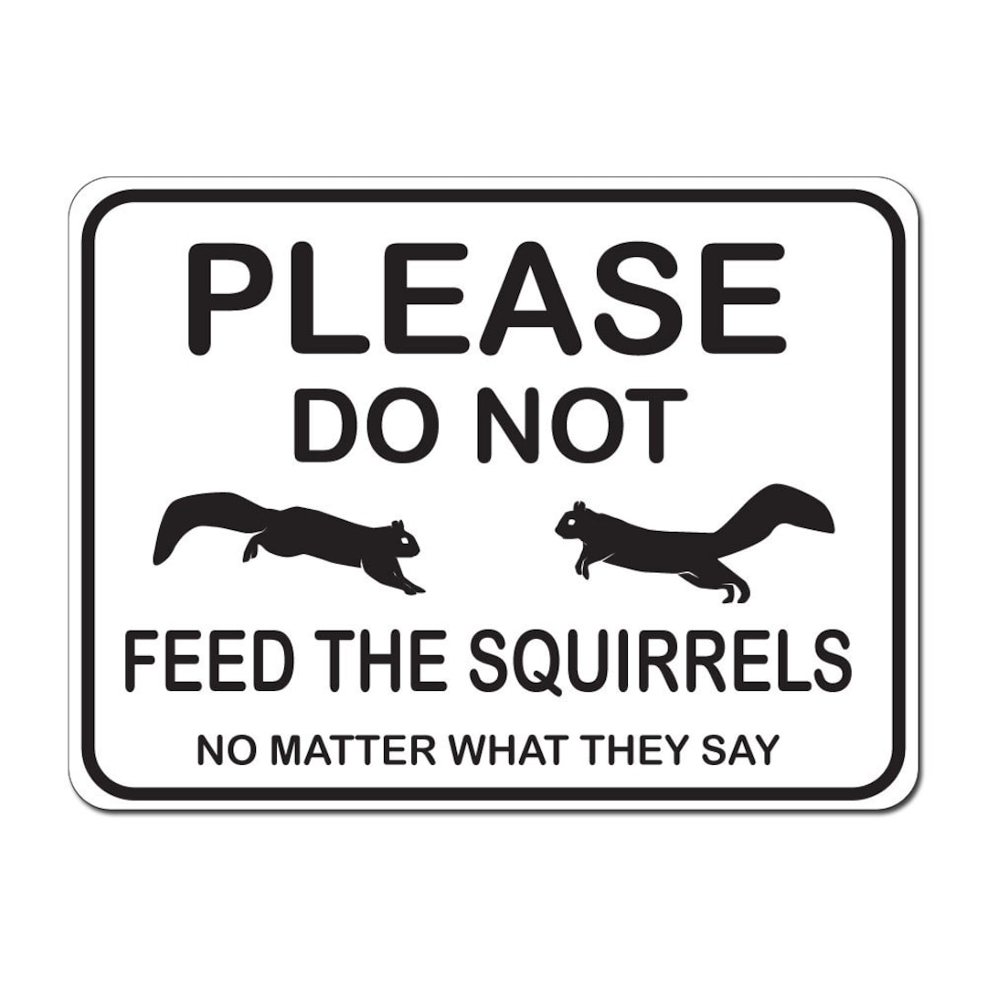 Please Do Not Feed the Squirrels No Matter What They Say -12"x9 ...