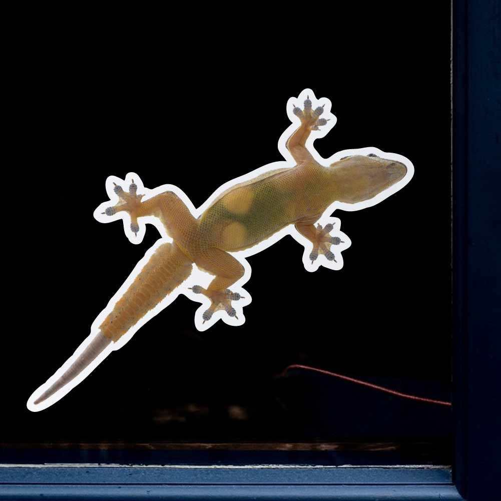 Common House Gecko Full Color Static Window Cling - Etsy