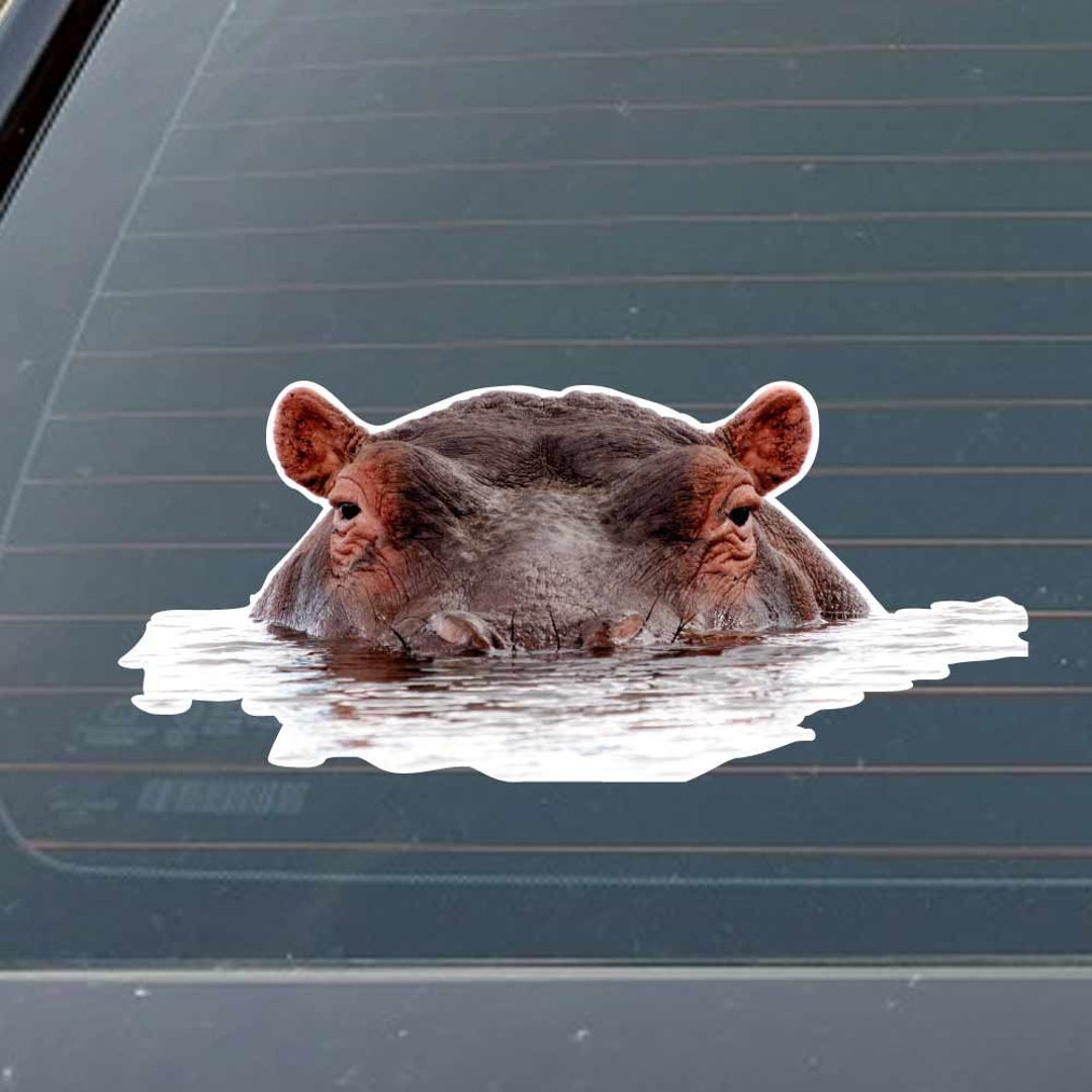 Hippo Submerged in Water - Indoor/outdoor Vinyl Decal OR Window Cling ...
