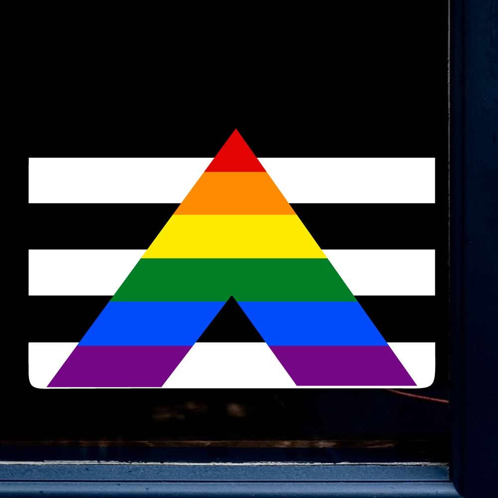 Ally Flag, LGBTQIA+ Pride Flag - Full Color Static Window Cling - Etsy
