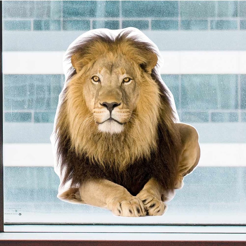 Male African Lion Laying Down Full Color Static Window Cling | Etsy