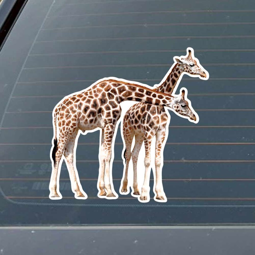 Two Curious Giraffe - Indoor/outdoor Vinyl Decal OR Window Cling - Etsy