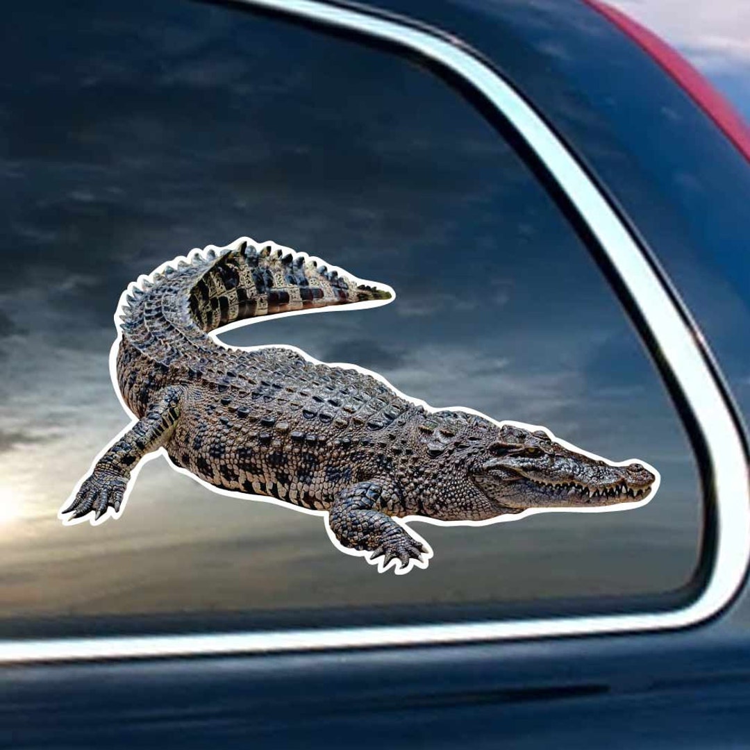 American Crocodile Curled Tail - Indoor/outdoor Vinyl Decal OR Window ...