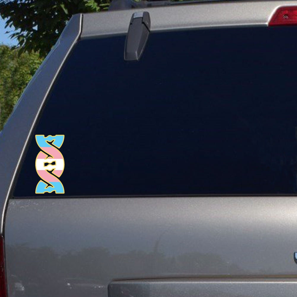 Transgender Pride DNA Helix - LGBT Pride, Born This Way - Indoor ...