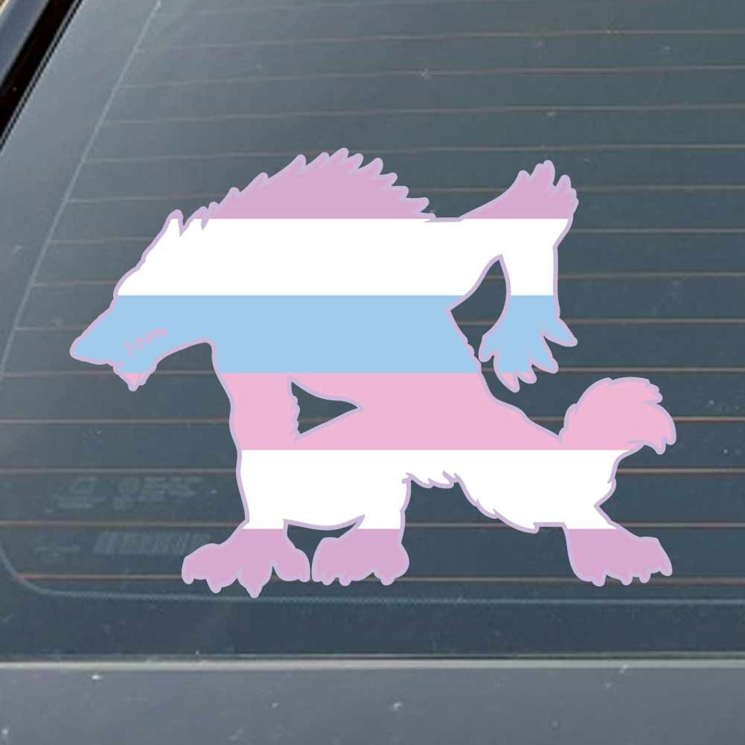 Bigender Werewolf, Therian Silhouette LGBTQIA Pride Furry Fandom Indoor ...