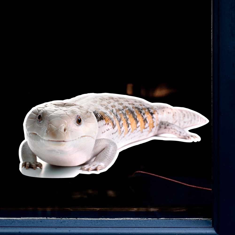 Blue Tongue Skink Loaf Full Color Static Window Cling - Etsy