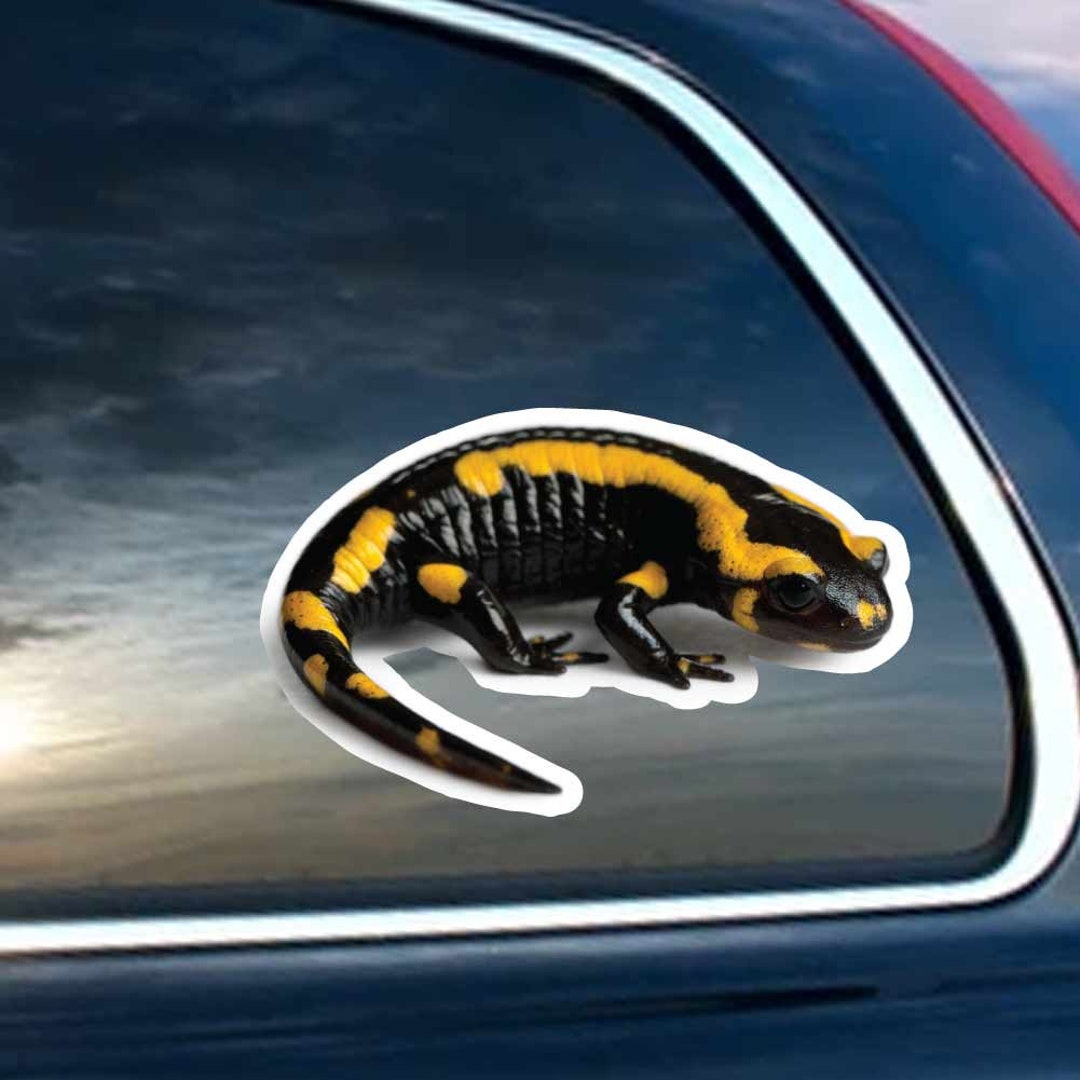 Curled Fire Salamander - Indoor/outdoor Vinyl Decal OR Window Cling ...