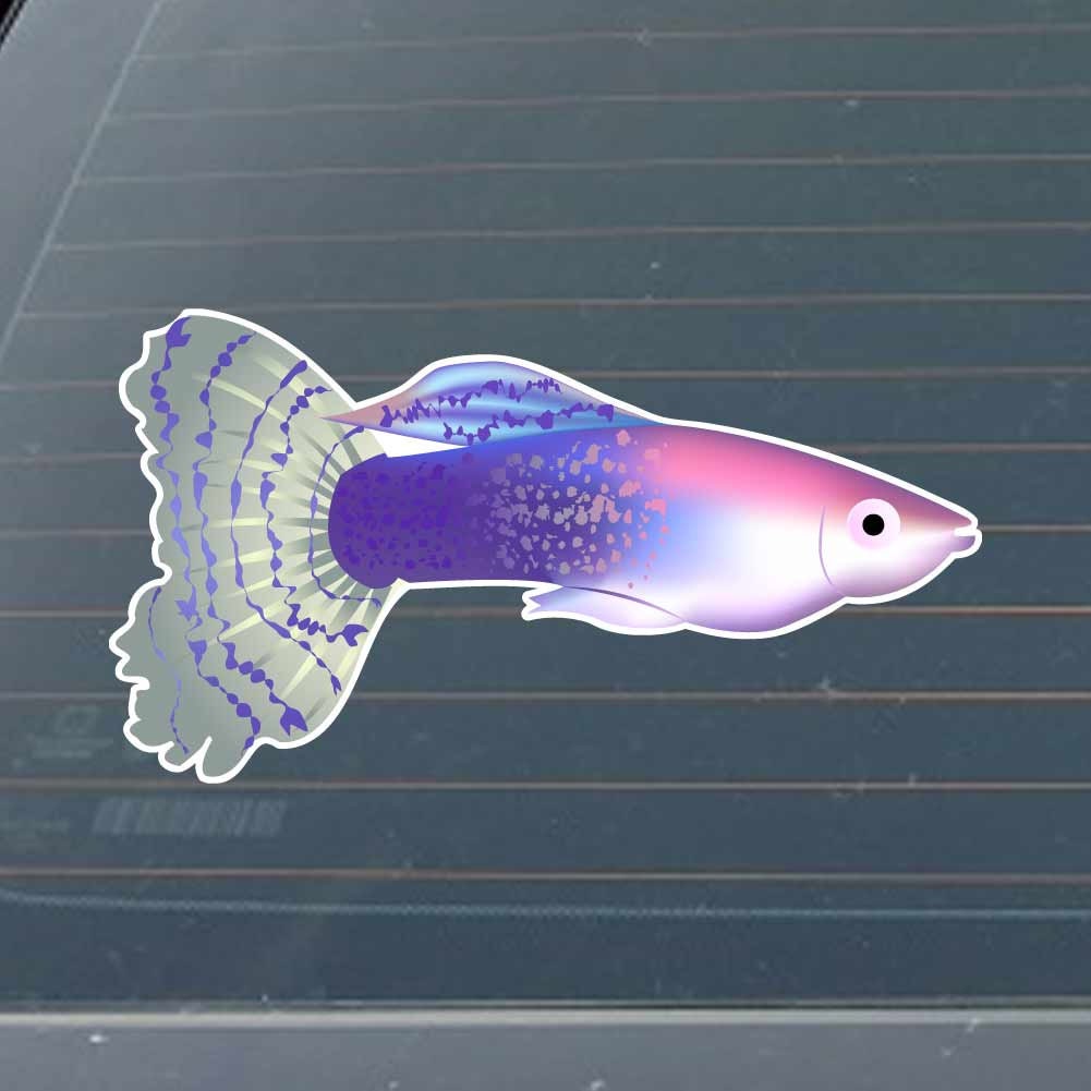 Guppy Fish Posters