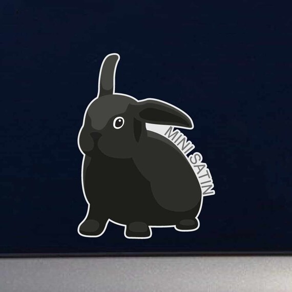 Black Mini Satin Rabbit