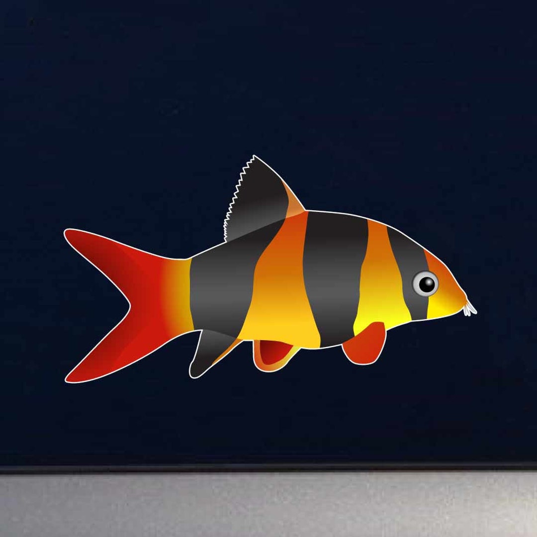 The Clown Loach, or Tiger Botia Aquarium Fish - Indoor Outdoor Vinyl ...