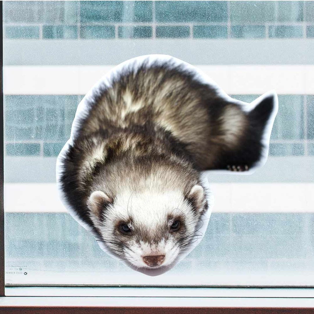 Sleepy Ferret - Full Color Static Window Cling - Etsy