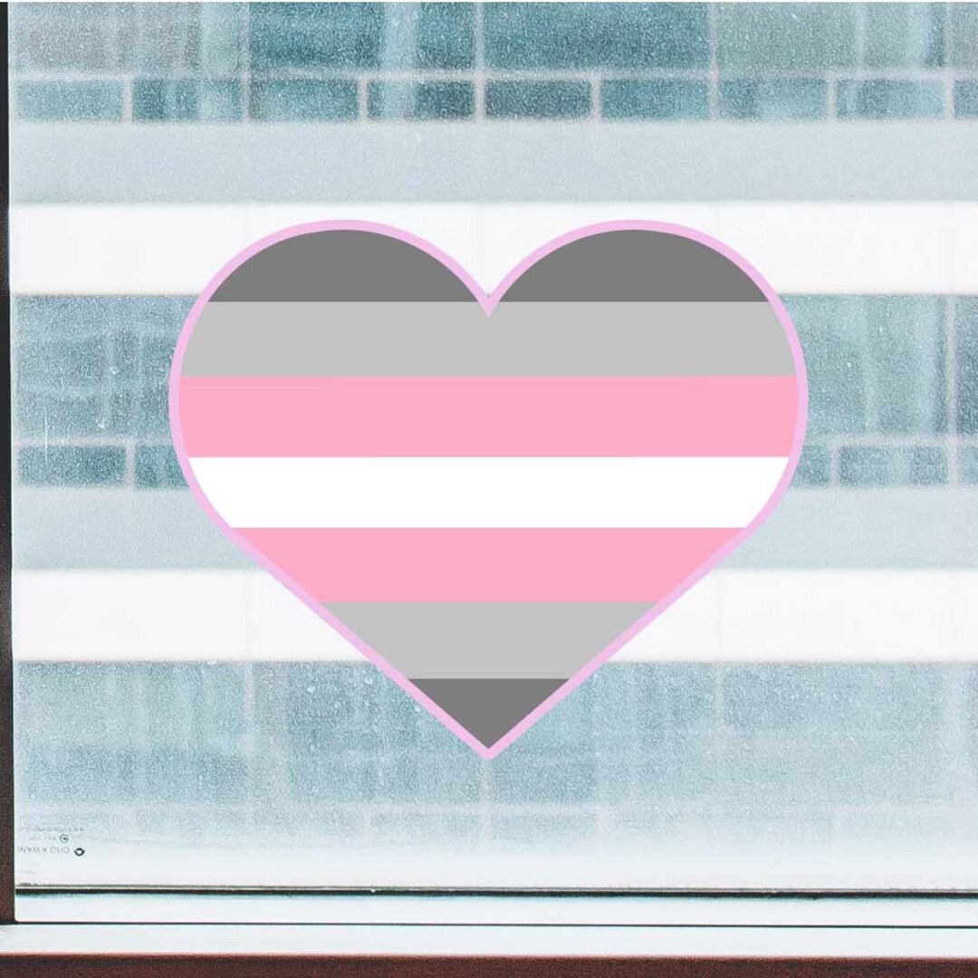 Demigirl Heart, LGBTQIA+ Pride Flag - Full Color Static Window Cling - Etsy