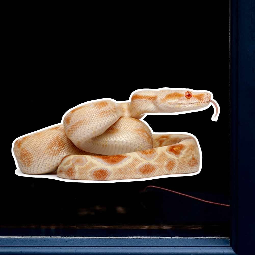 Albino Boa Constrictor Snake Full Color Static Window Cling - Etsy