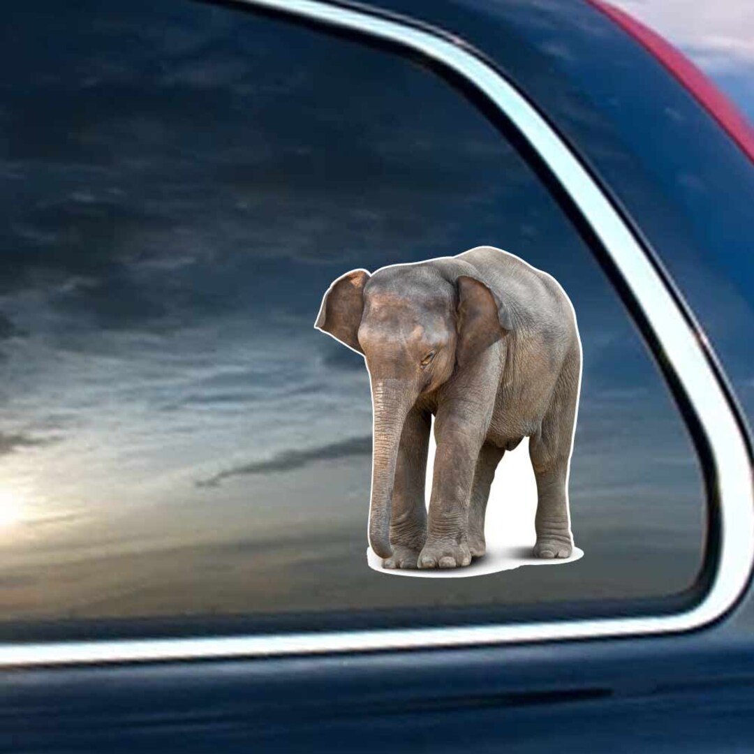 Baby Asian Elephant - Indoor/outdoor Vinyl Decal OR Window Cling ...