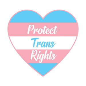 Protect Trans Rights Transgender Rights Trans Ally Indoor - Etsy