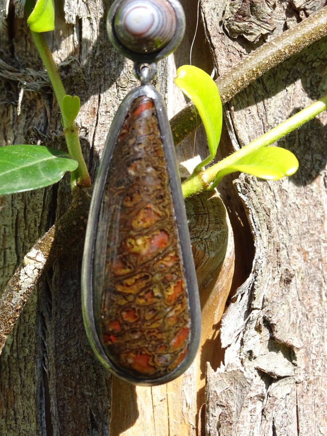 Rare Dinosaur Bone and Fossil Snake Skin Agate 925 Silver 24k - Etsy