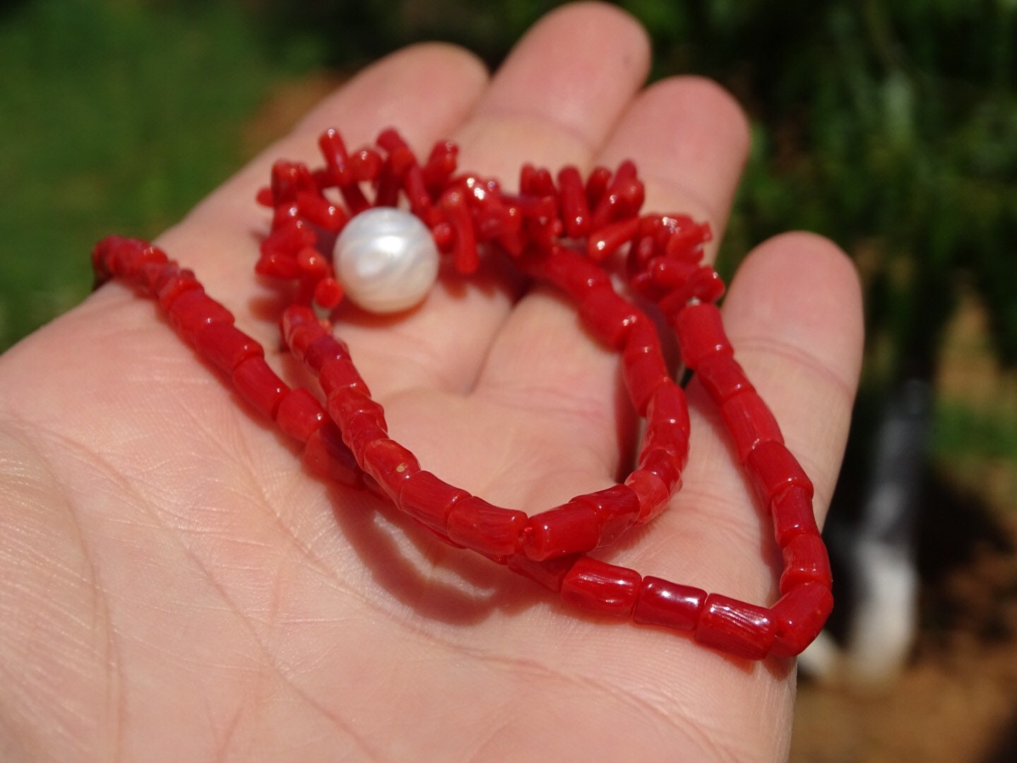 Rare Natural Blood Red Mediterranean Sea Coral and White - Etsy
