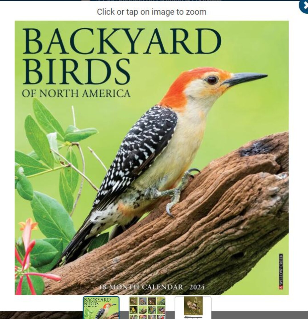 Backyard Birds 2024 Wall Calendar Wall Decor DIY Craft Projects Gift ...