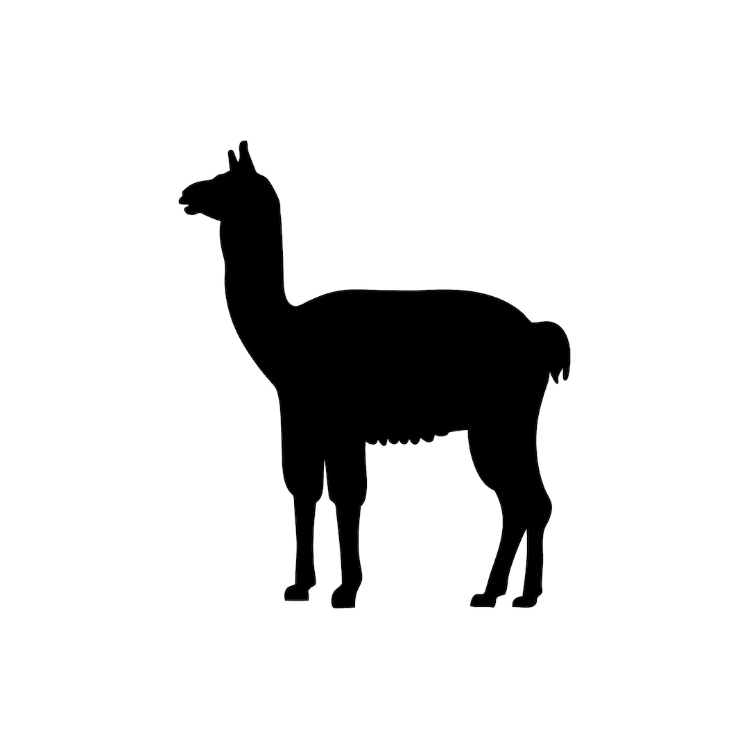 Llama Decal Sticker Phish - Etsy