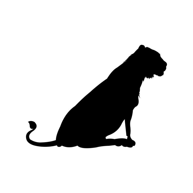 Tiger Sticker Decal - Etsy