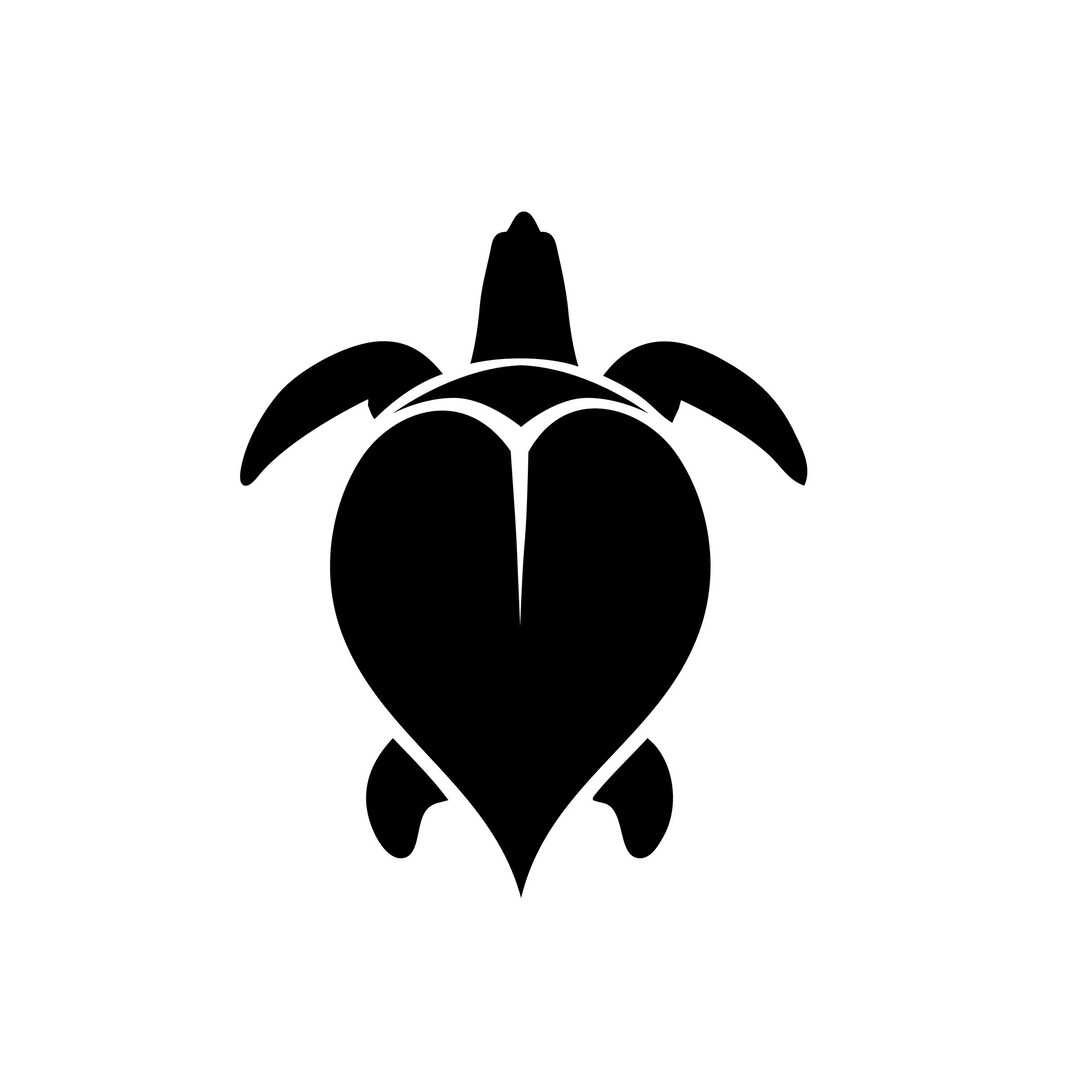 Sea Turtle Decal - Etsy