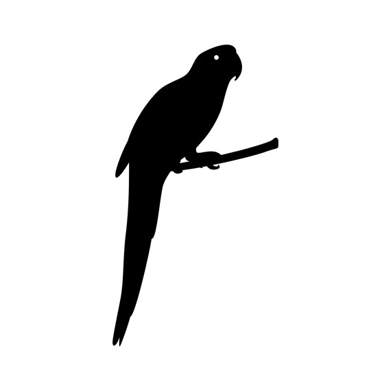 Parrot Bird Decal Sticker | Etsy