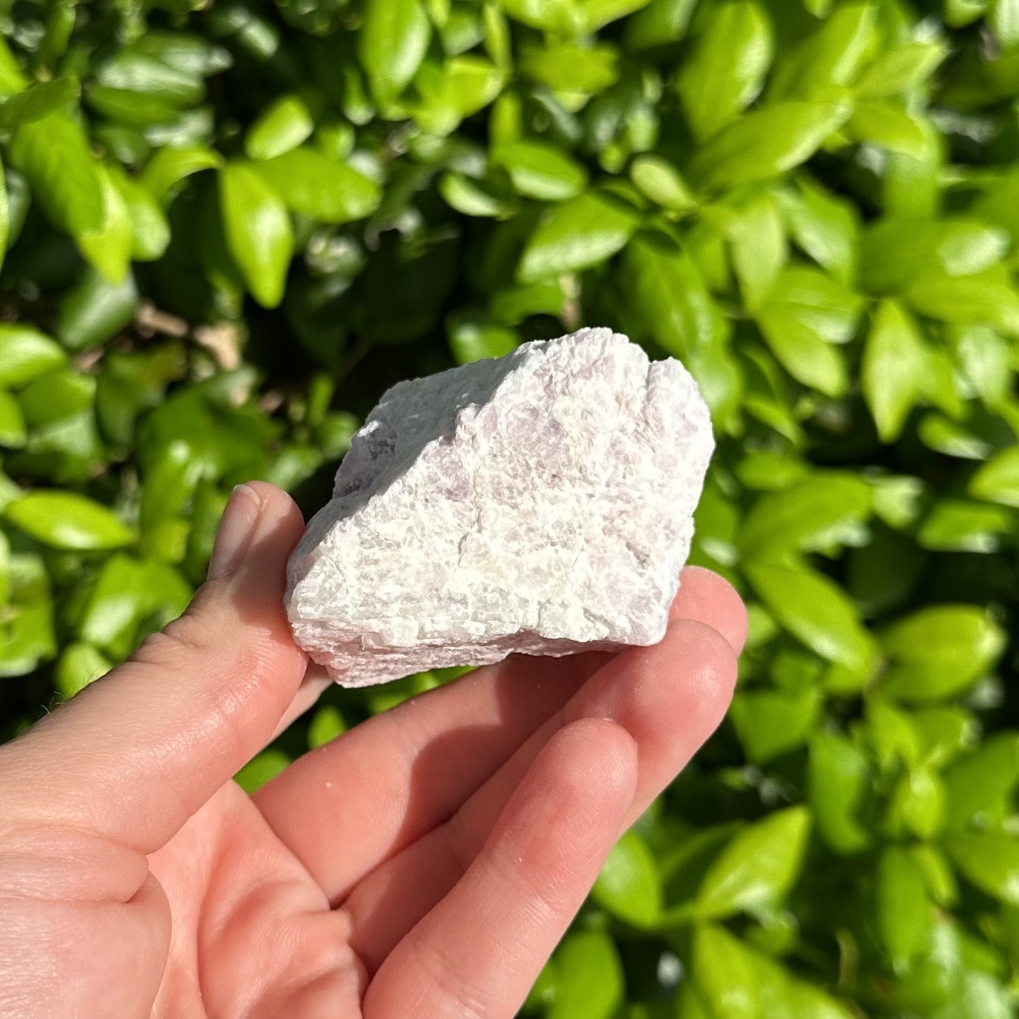 ONE Large Raw Kunzite Rough Stone