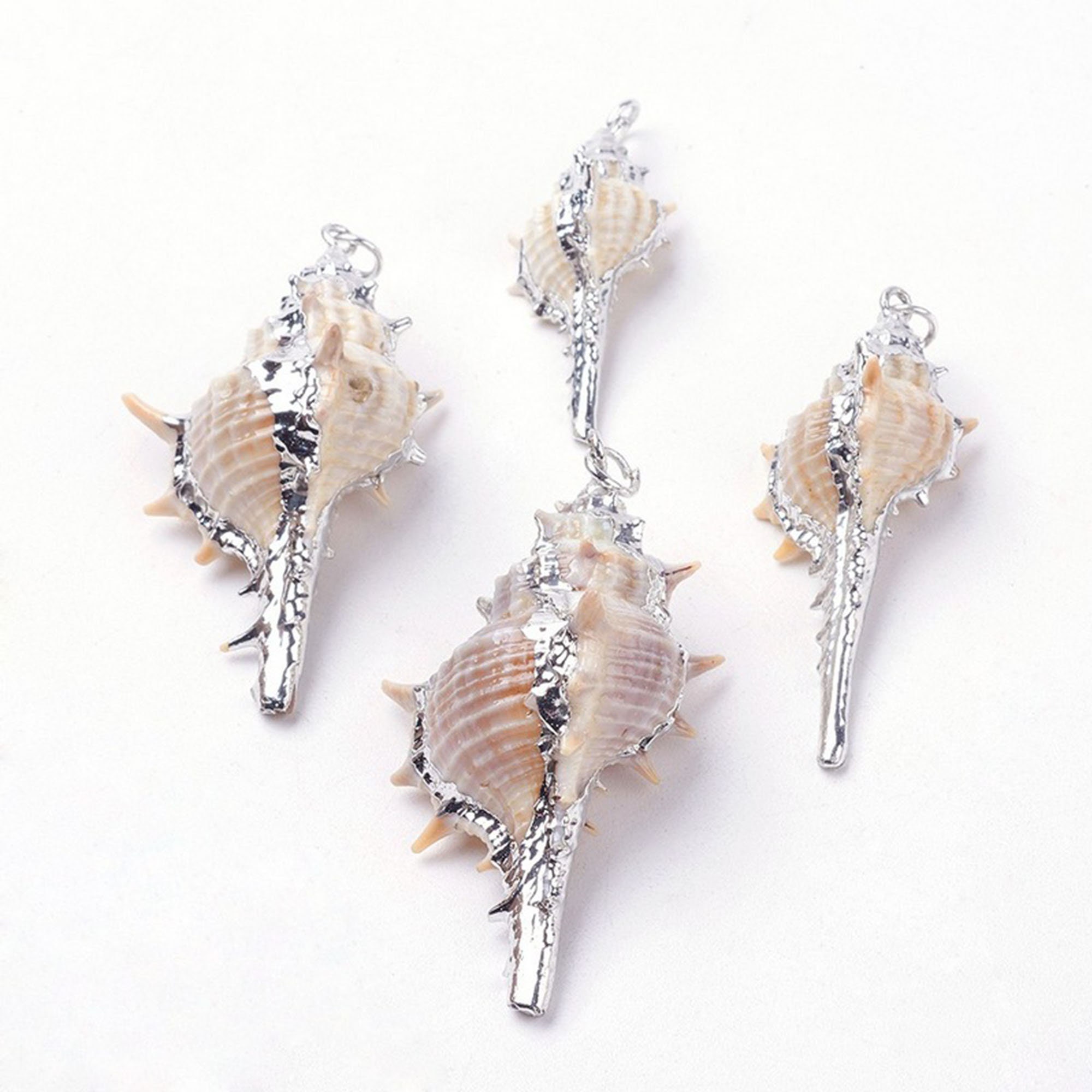 Natural Sea Shell Pendant Silver Plated Conch Shell Sold