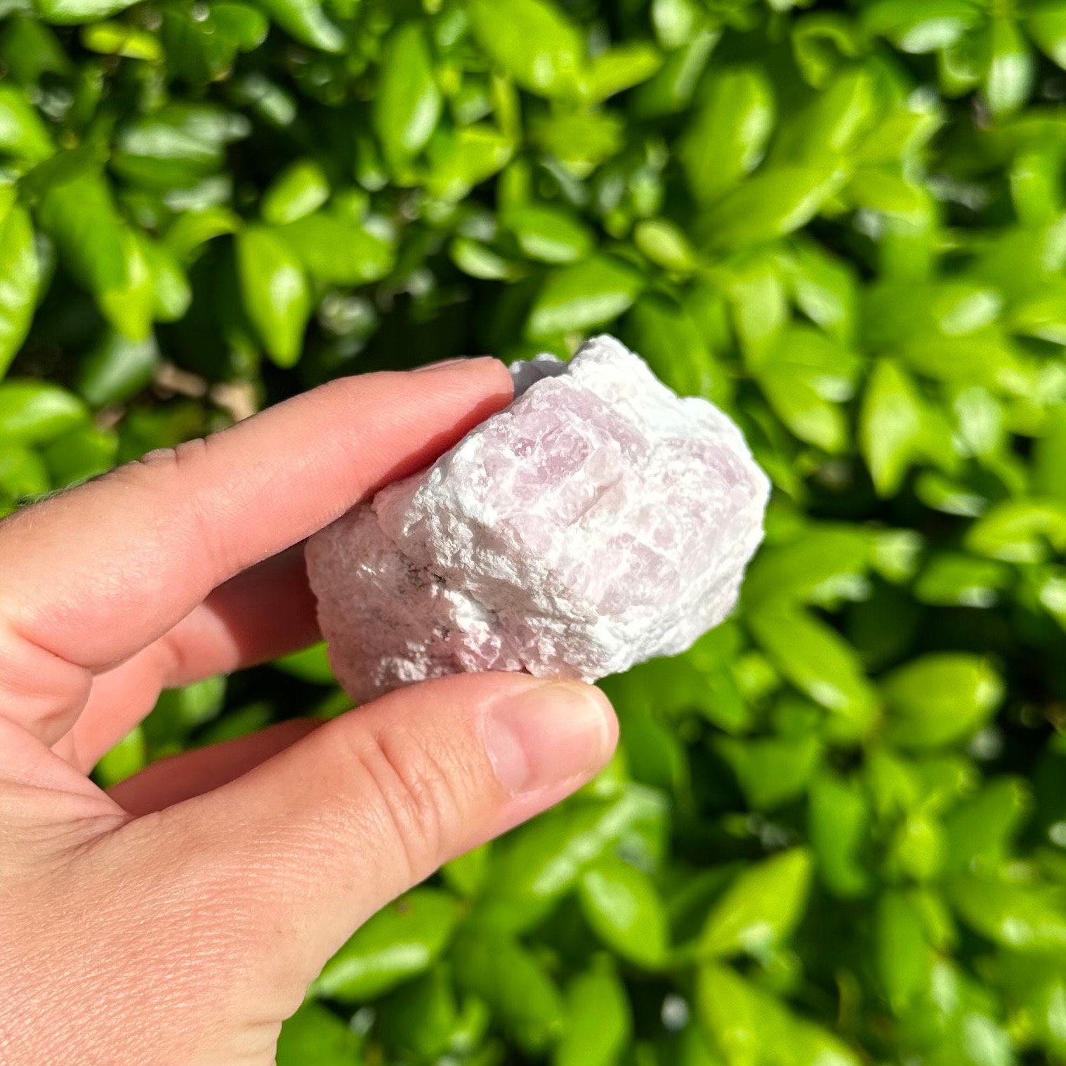 ONE Large Raw Kunzite Rough Stone