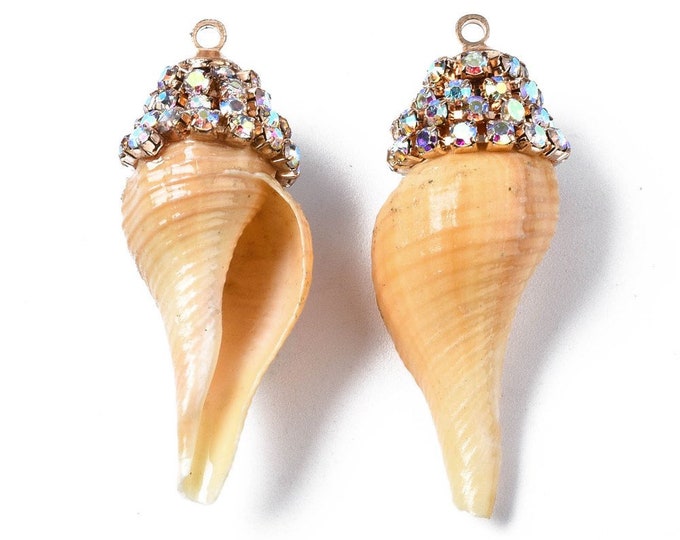 5 Pcs Natural Sea Shell Pendants With Rhinestone Cup Chain and Golden ...