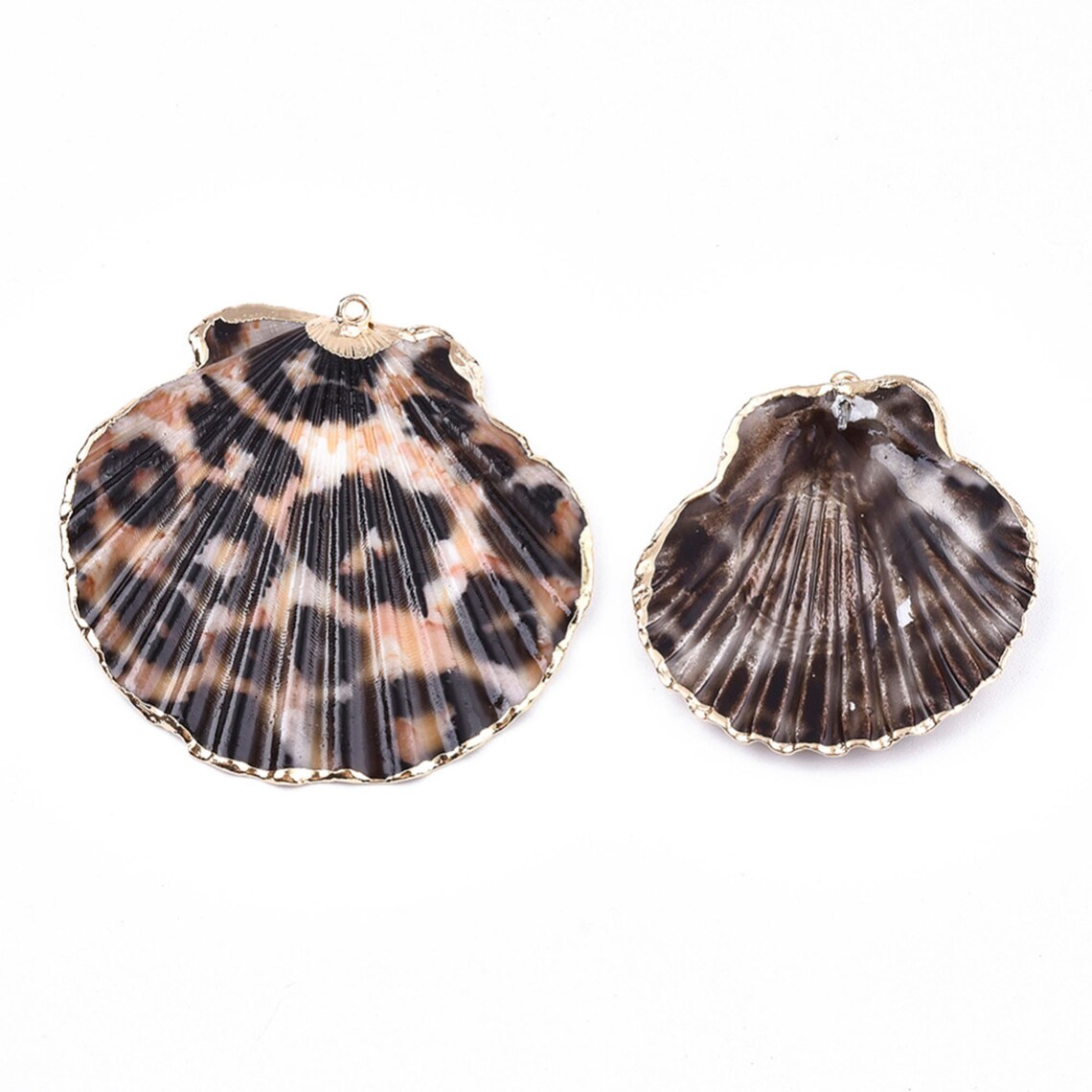 Natural Sea Shell Pendant 18K Gold Dipped Edge Large Shell - Etsy