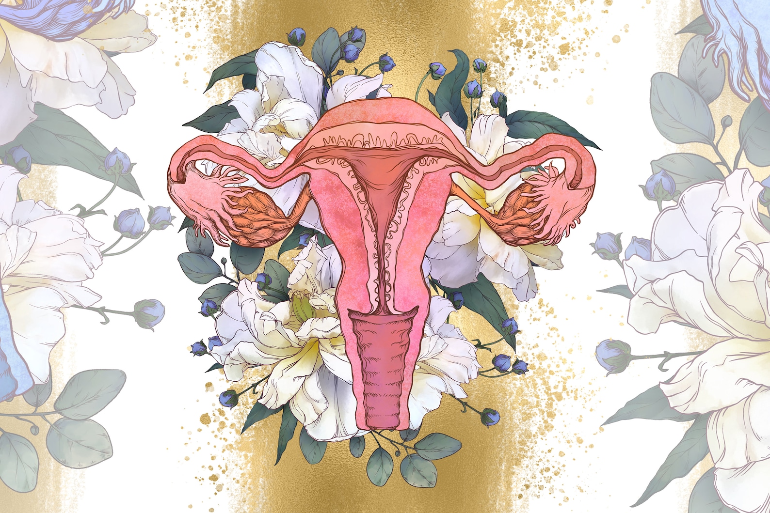 Floral Uterus Clip Art Anatomy Clipart Women Health Png - Etsy