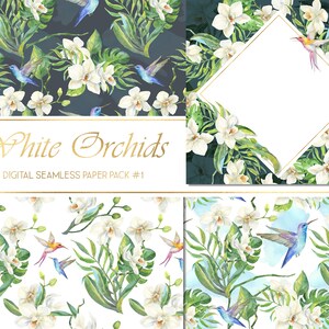 Tropical Flower Digital Paper Pack, Watercolor White Orchid, Wedding ...